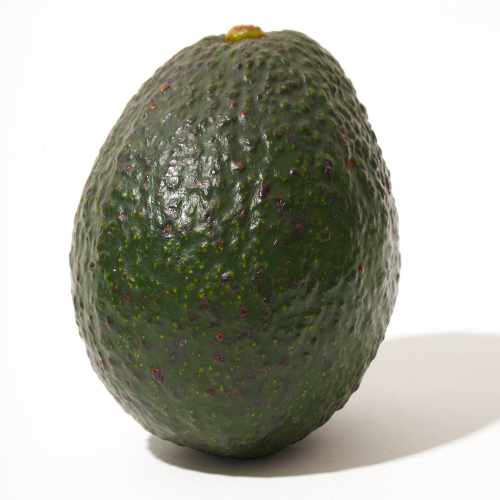 La Fruta Loca: Avocado Seasonality – DAVOCADOGUY